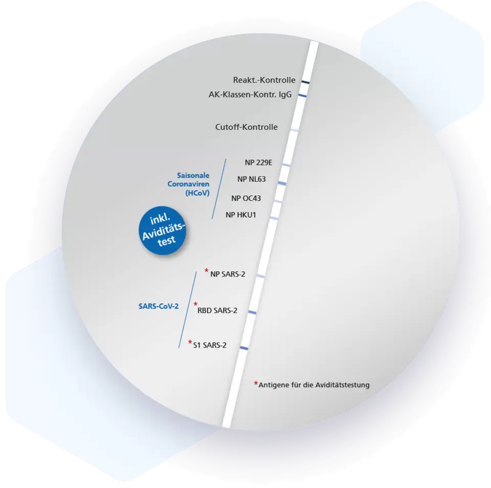 Mikrogen: recomLine SARS-CoV-2 IgG [Avidity]