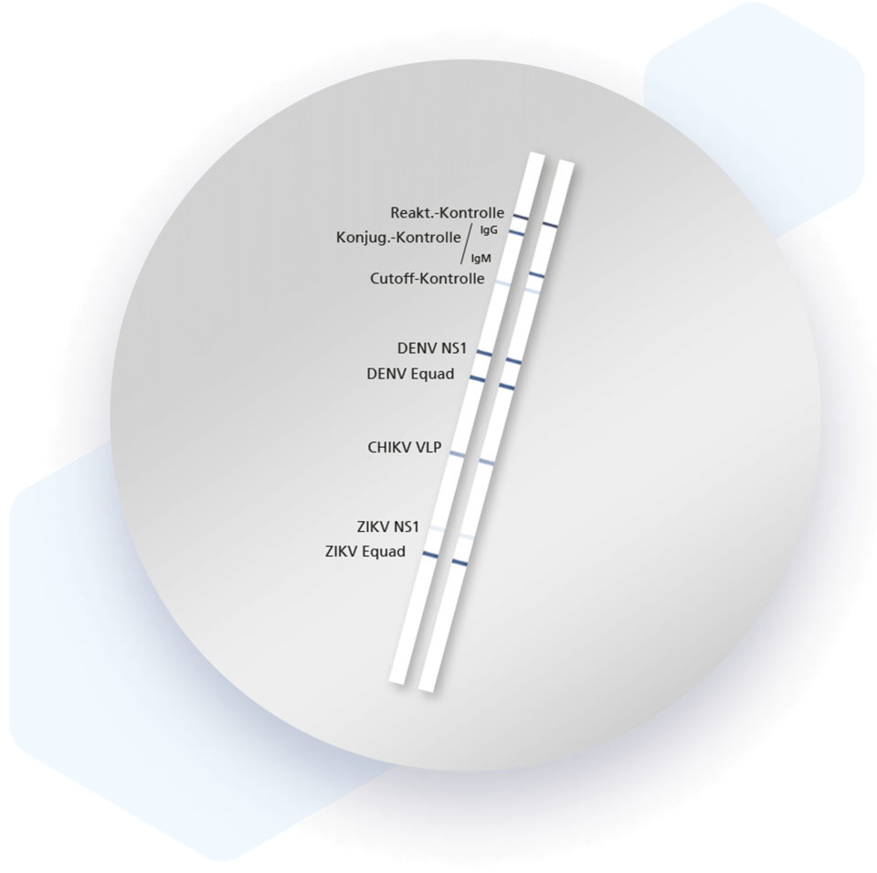 Mikrogen: recomLine Tropical Fever IgG